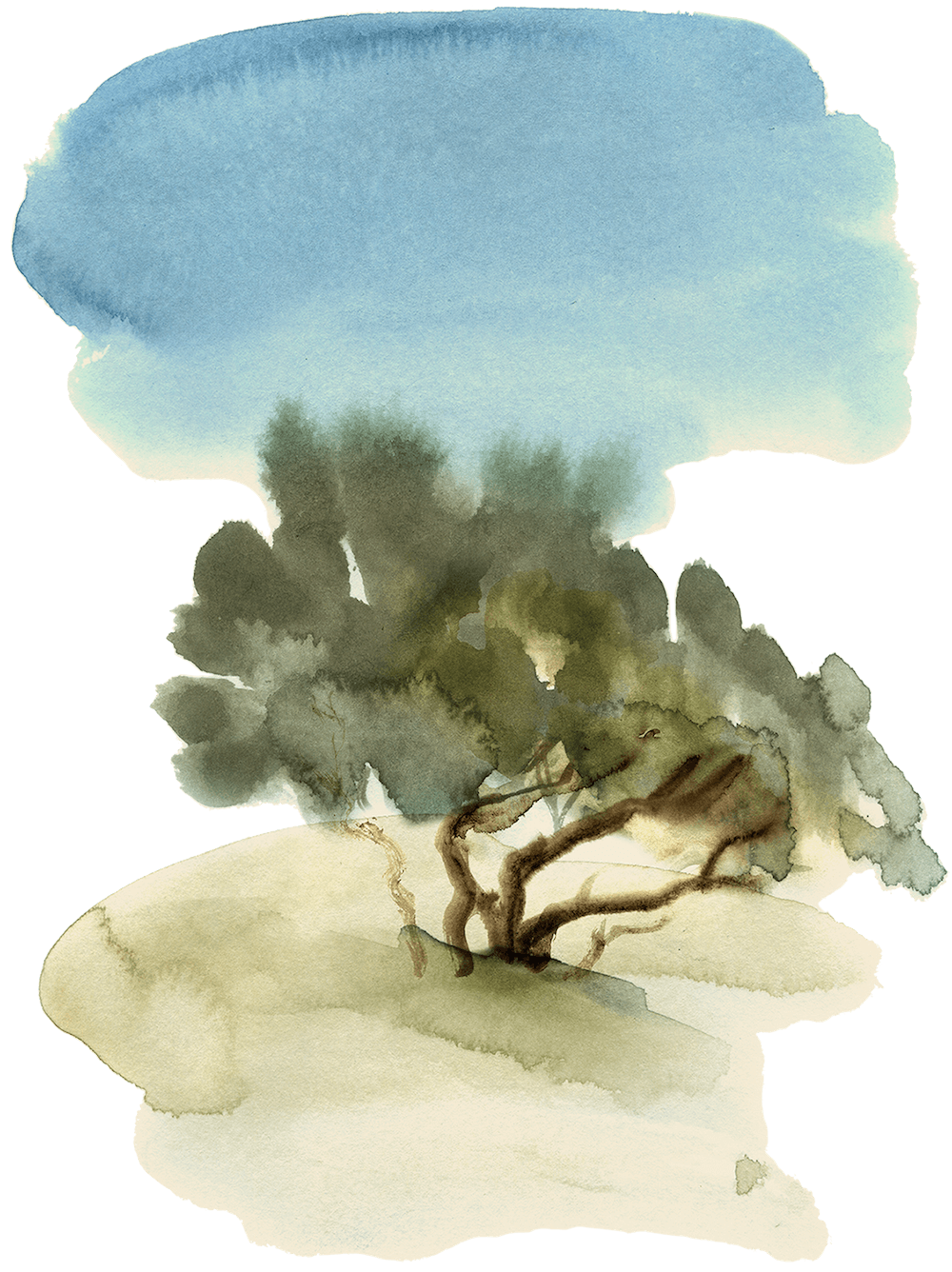 Eames Ranch—Design & Regenerative Agriculture | Eames Institute