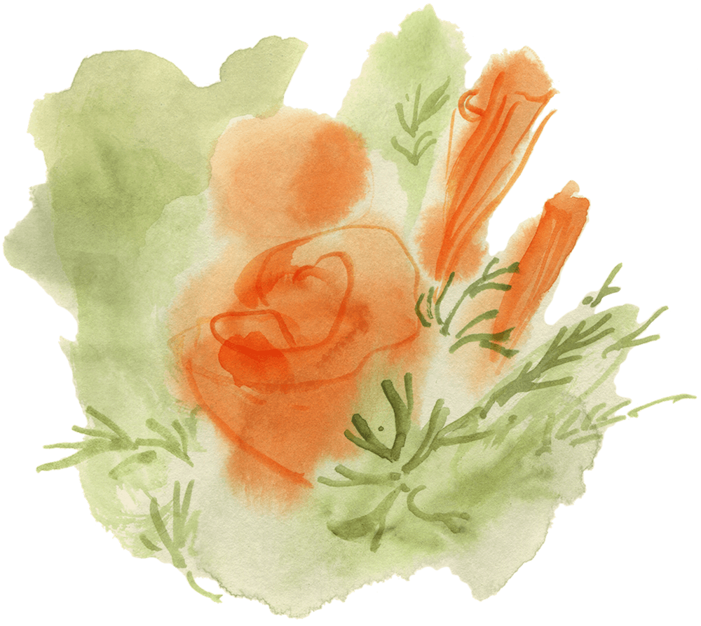 Eames Ranch—Design & Regenerative Agriculture | Eames Institute