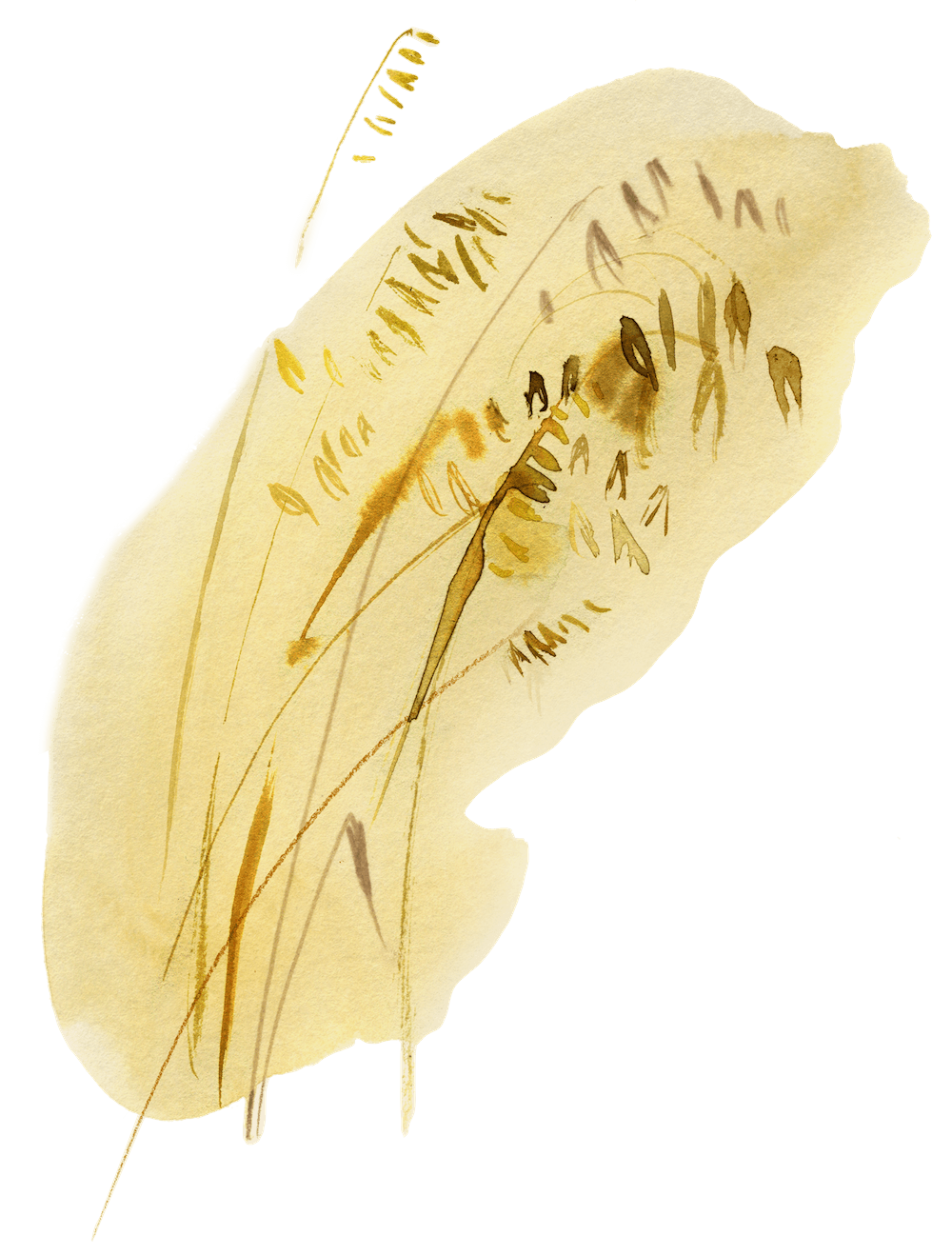 Eames Ranch—Design & Regenerative Agriculture | Eames Institute