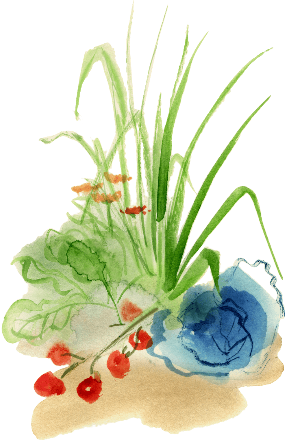 Eames Ranch—Design & Regenerative Agriculture | Eames Institute