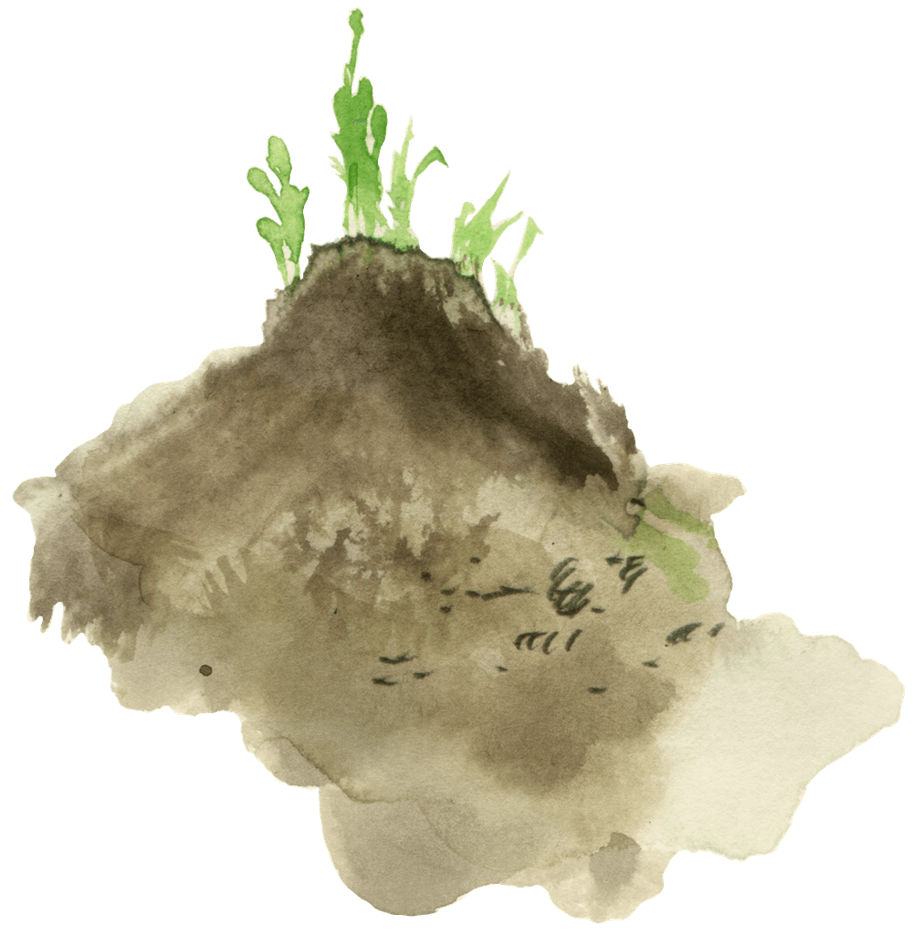 Eames Ranch—Design & Regenerative Agriculture | Eames Institute