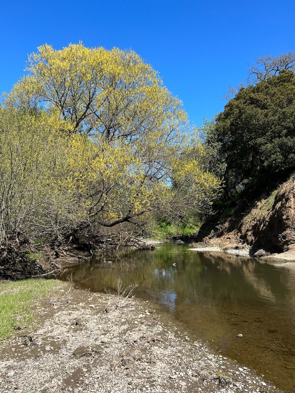Eames Ranch—Design & Regenerative Agriculture | Eames Institute