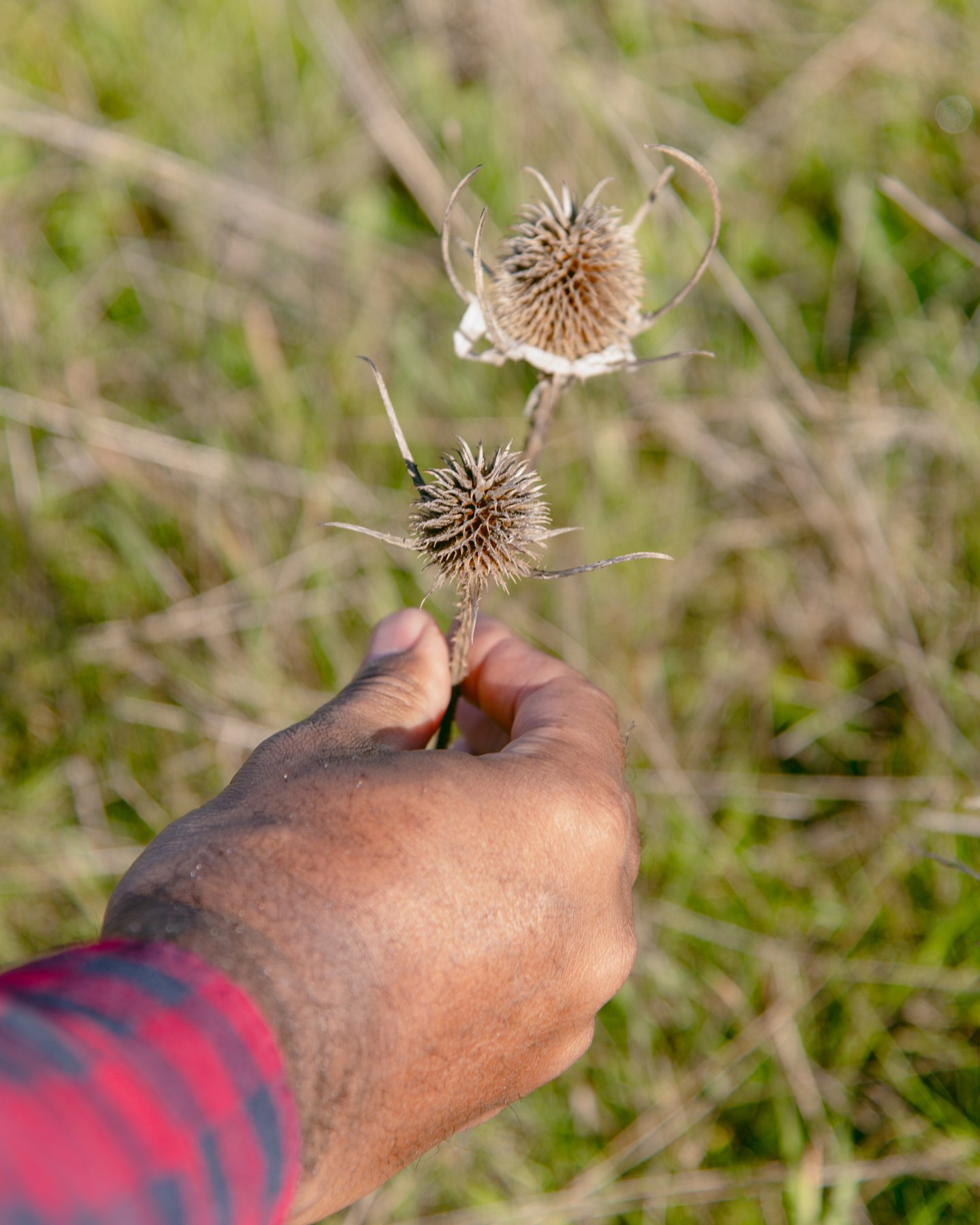 Maurice Woods of Inneract Project | Kazam! Magazine